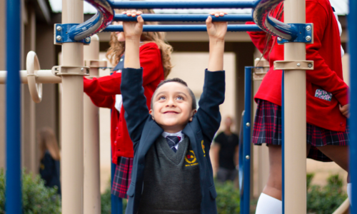 HEI Schools Case Studies